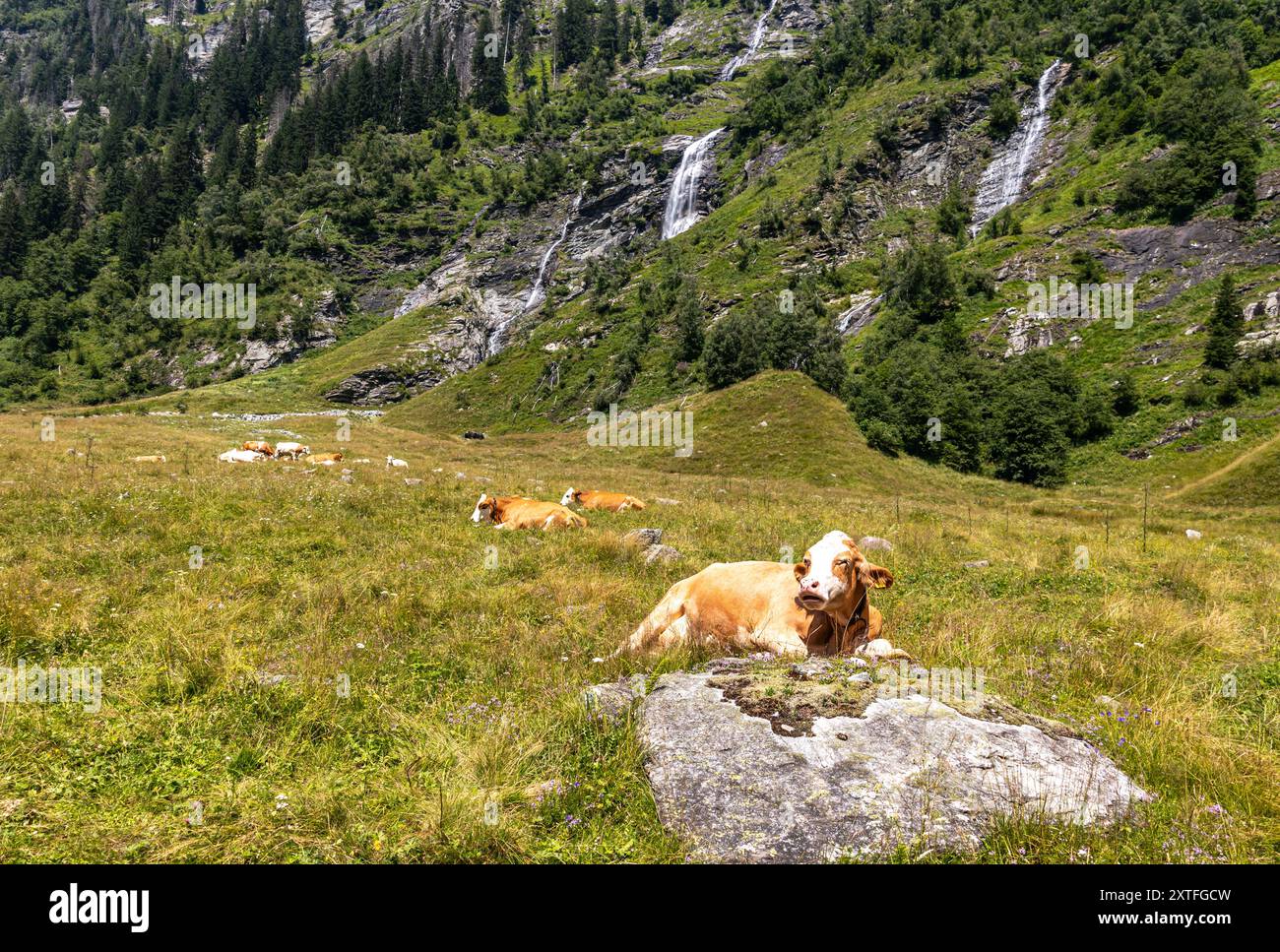 Impressionen aus Mallnitz Nationalpark Hohe Tauern Seebachtal Stock ...