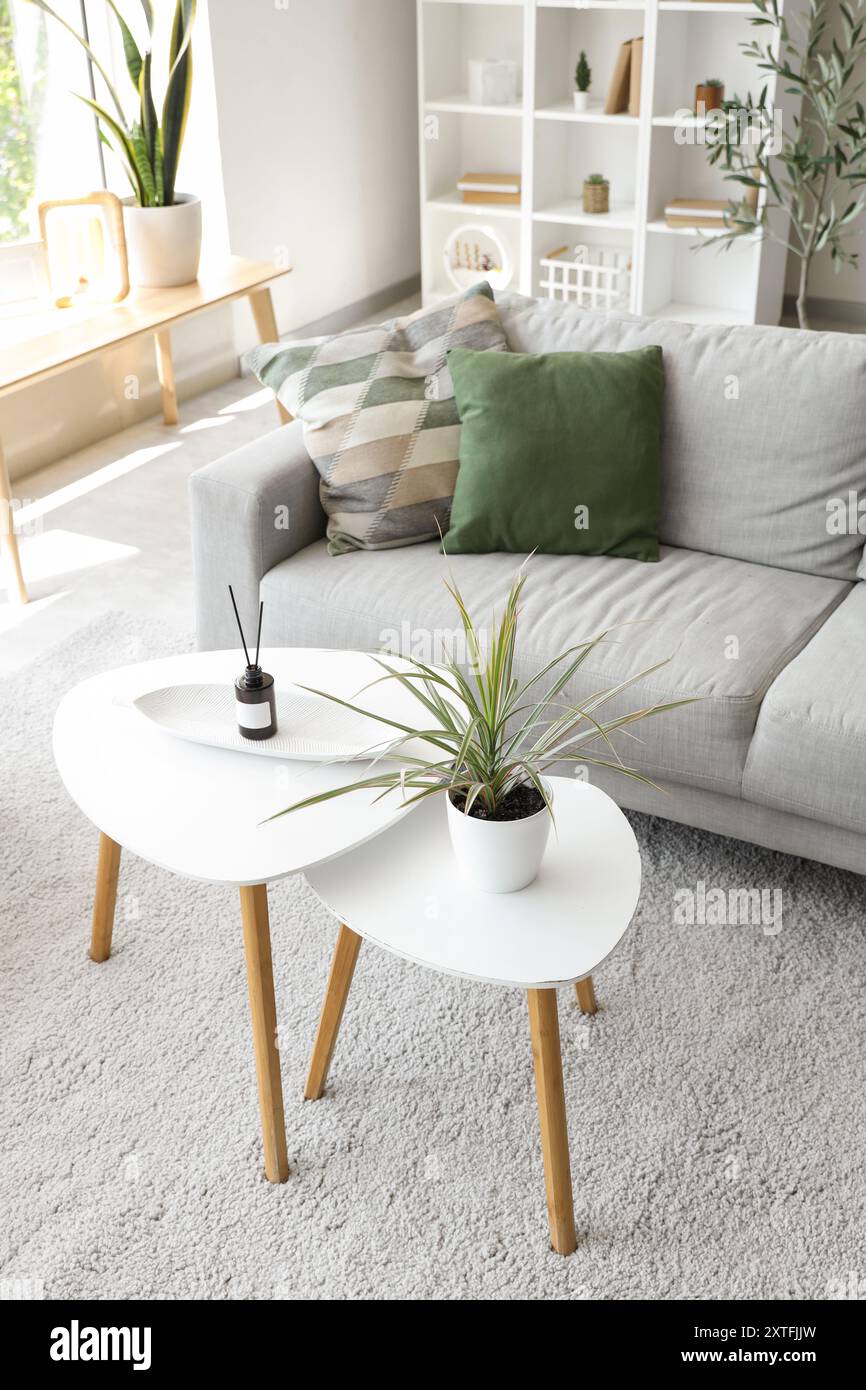Aroma diffuser, tray and houseplant on tables in modern light living ...