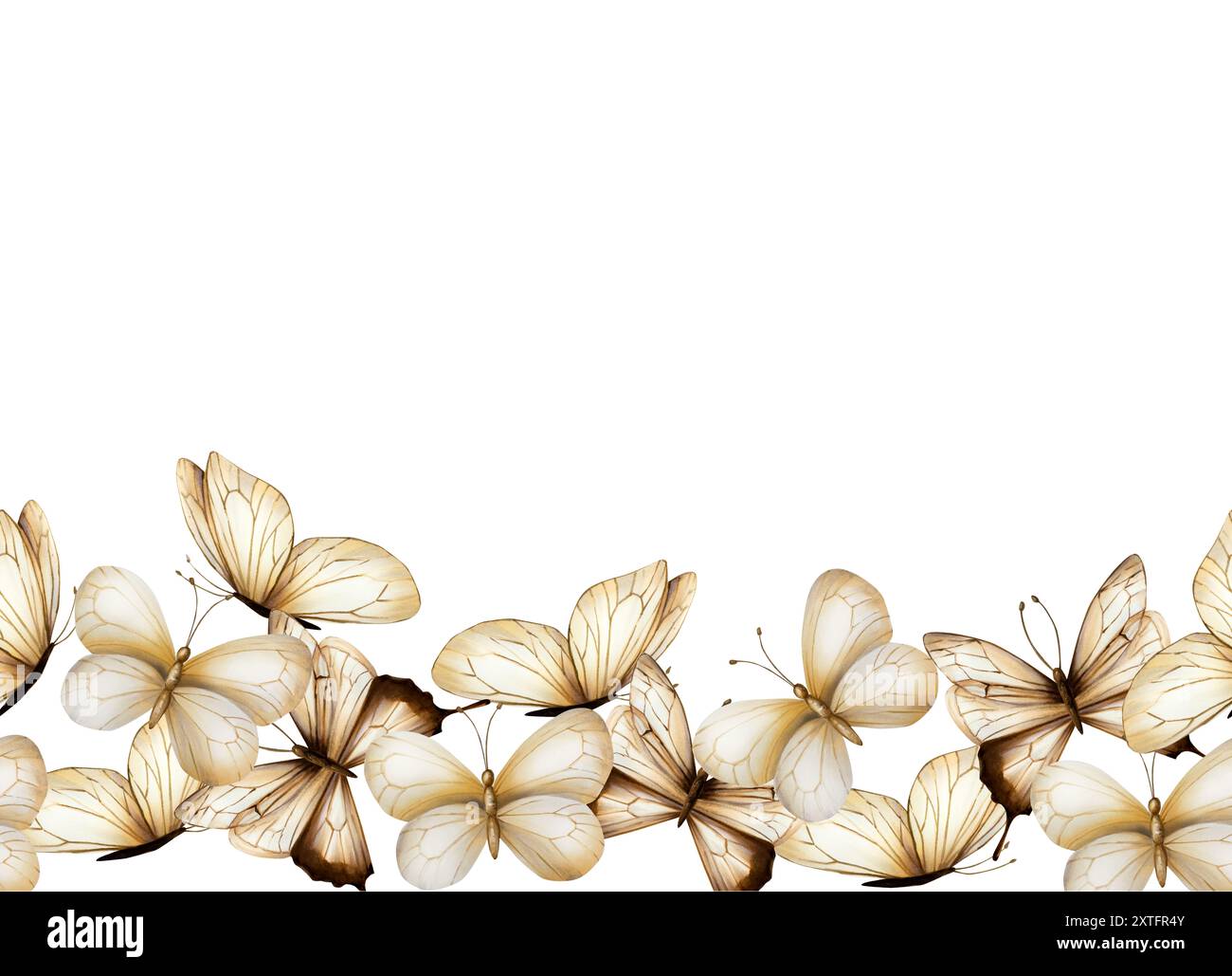 Seamless frame, template, border, banner with boho butterflies ...