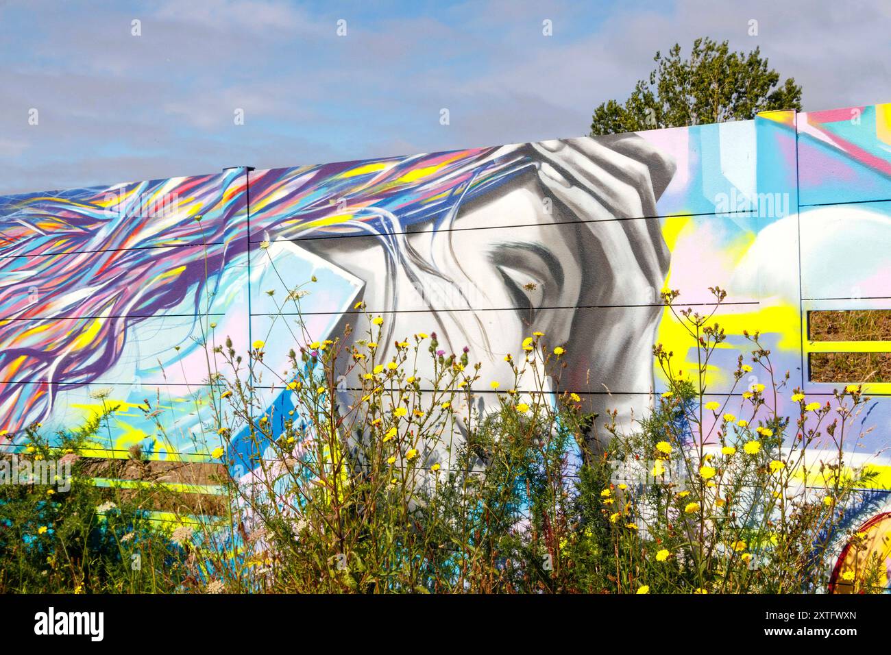 Vibrant street art mural featuring a grayscale human face surrounded by ...