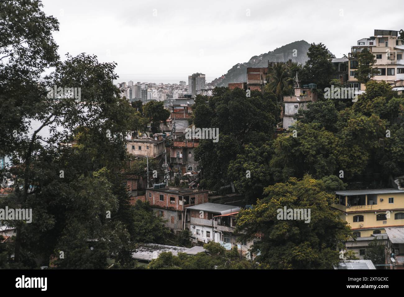 Dense forest surrounds hillside favela dwellings in Rio de Janeiro ...