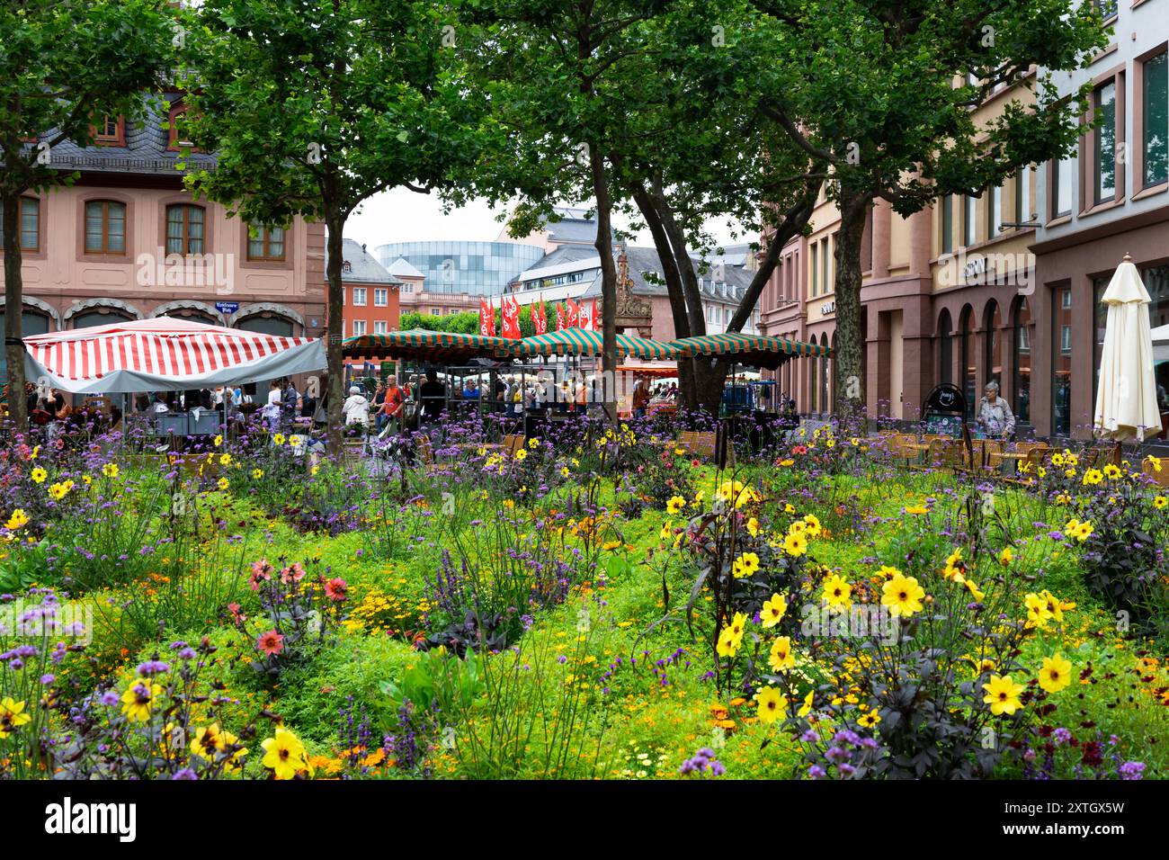 Mainz, Germany. July 2, 2024. Garden with flowers at Cathedral Square ...