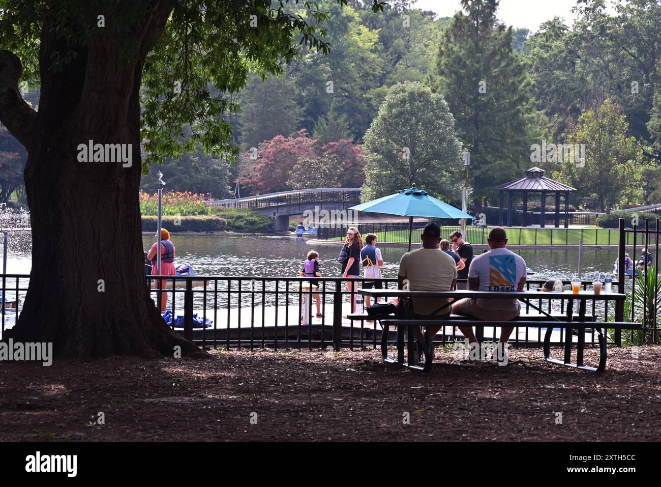 Two men sit in the shade of a willow oak at Pullen Park in Raleigh, NC ...