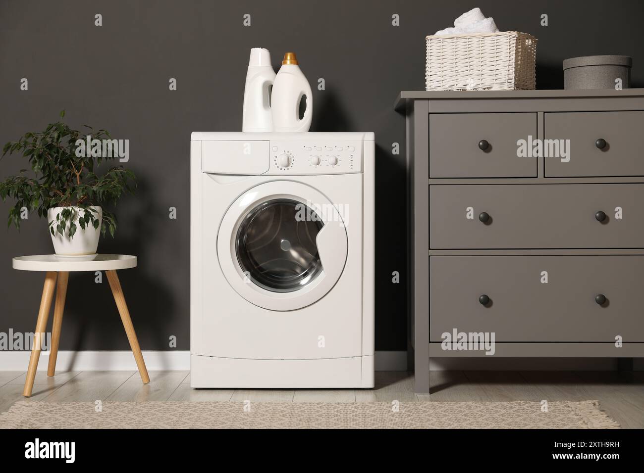 Washing machine, detergents, chest of drawers and houseplant on table ...