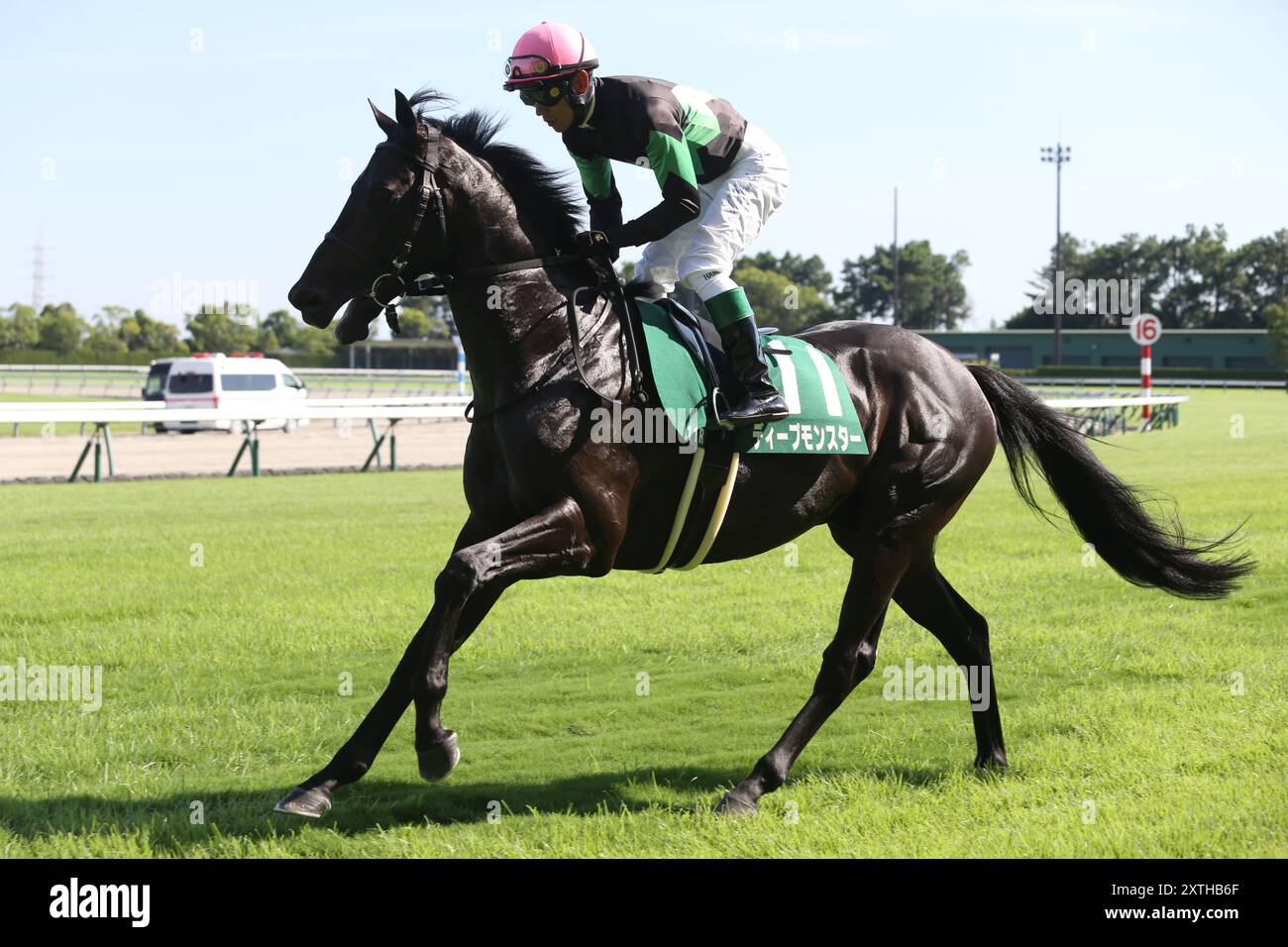 2024/08/11 CHUKYO 11R THE KOKURA KINEN 3/2 /Deep Monster /Suguru ...