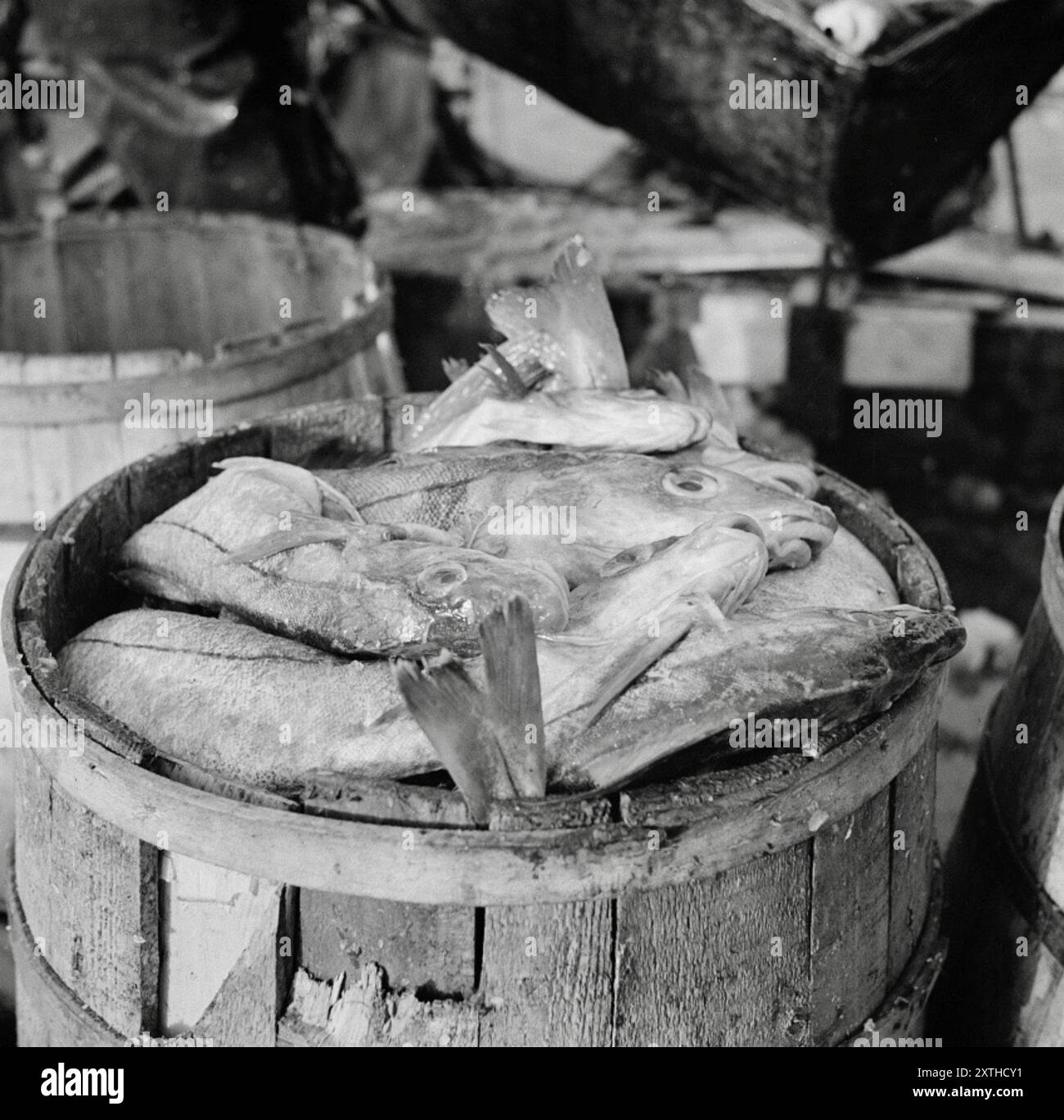 Old fulton fish market hi-res stock photography and images - Alamy