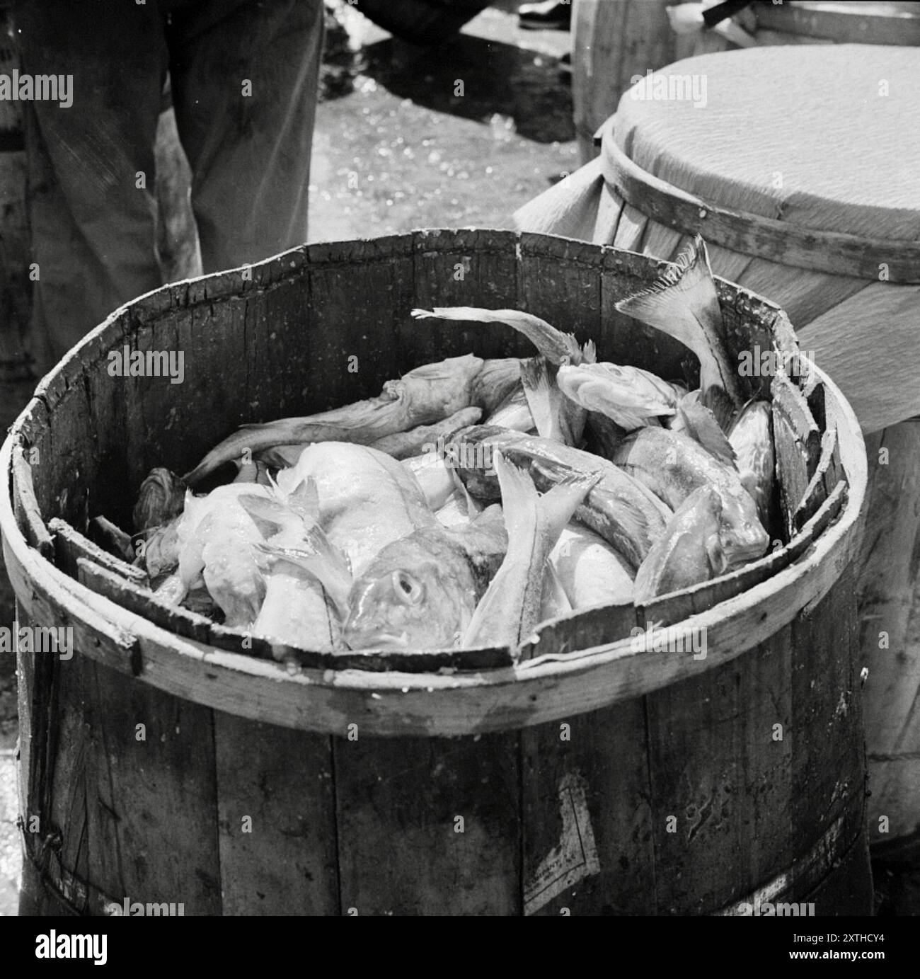 Barrels of codfish, Fulton Fish Market, New York City, May 1943 Stock ...
