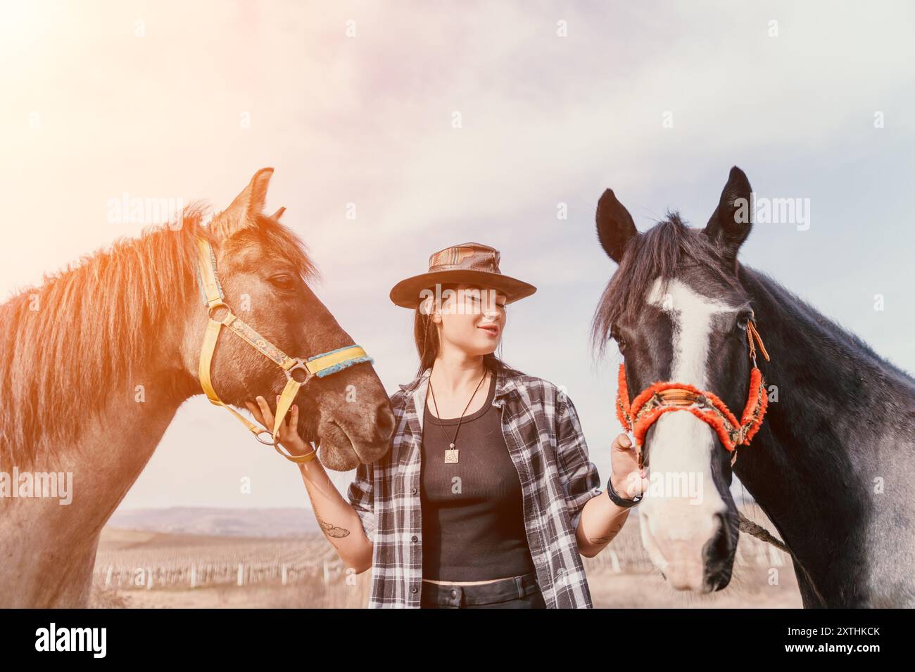 Young Woman with Horses in a Ranch Setting Stock Photo - Alamy