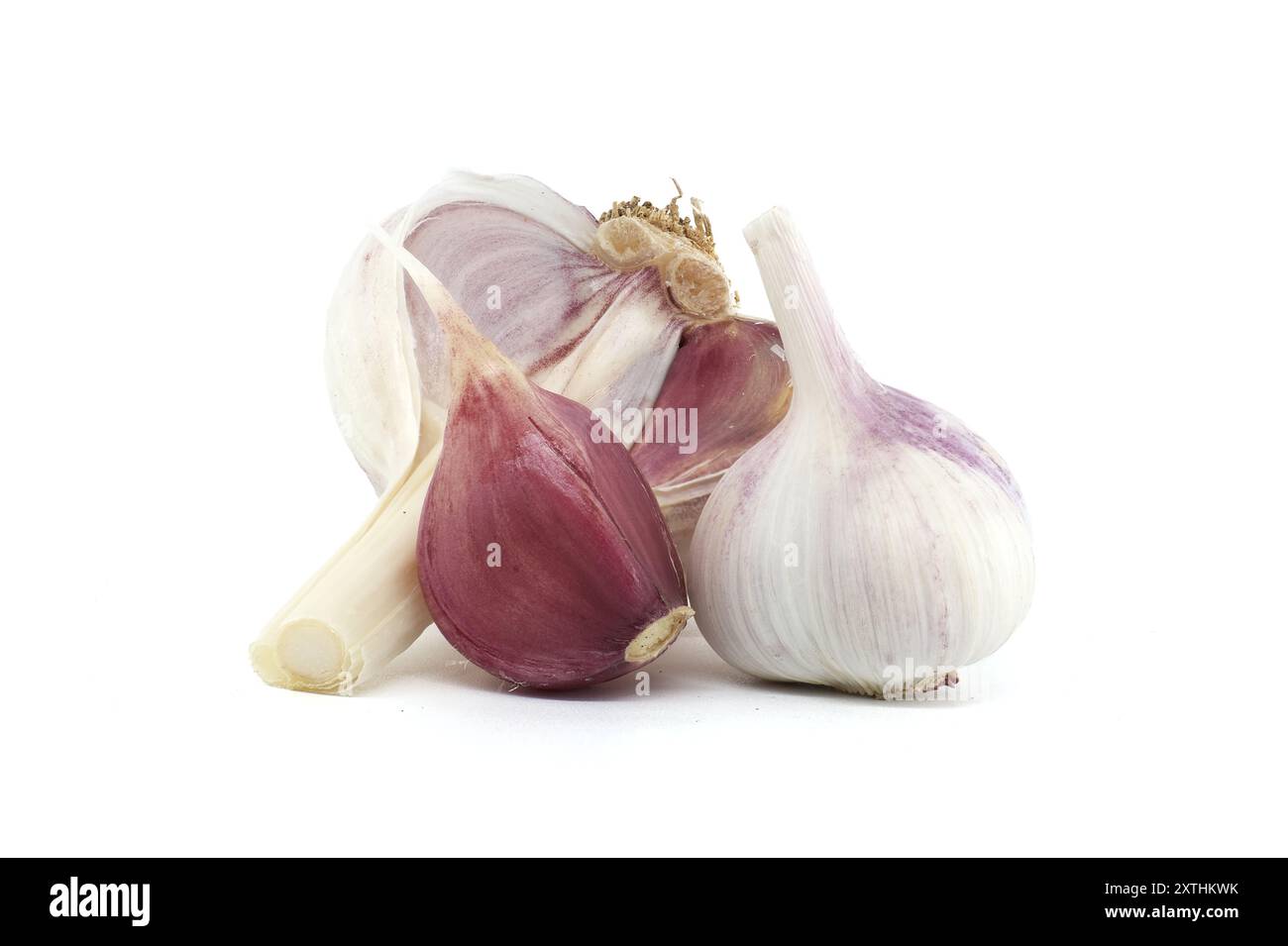 Fresh garlic bulbs of varying sizes and cloves isolated on a white ...