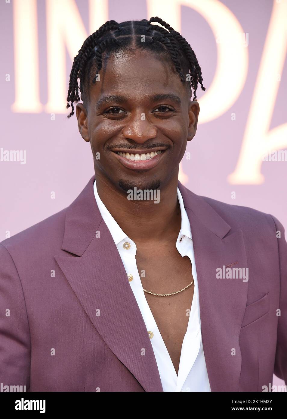 Hollywood, USA. 14th Aug, 2024. Samuel Arnold arriving to Netflix's ...
