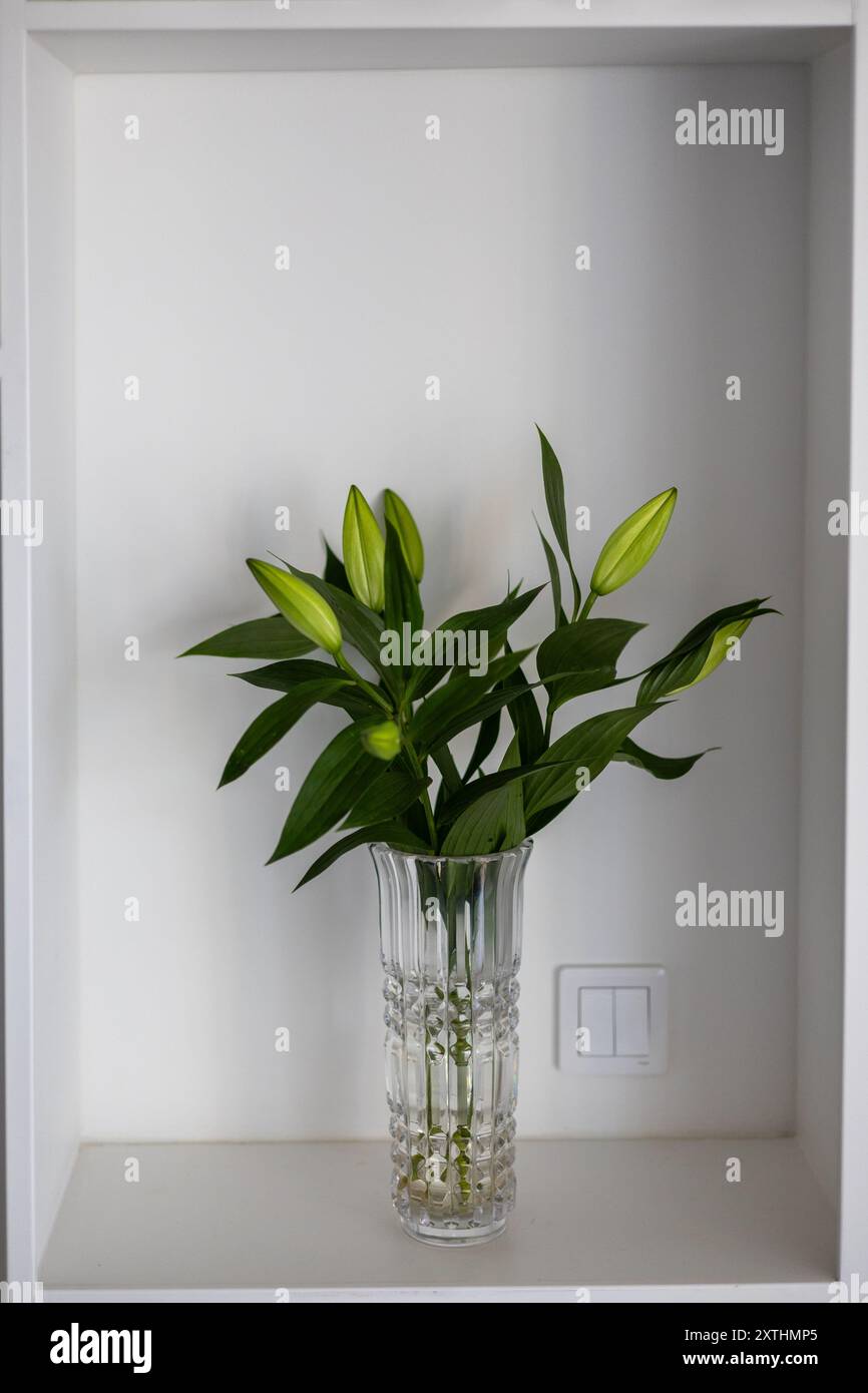 A clear glass vase filled with green leaves and unopened lily buds ...