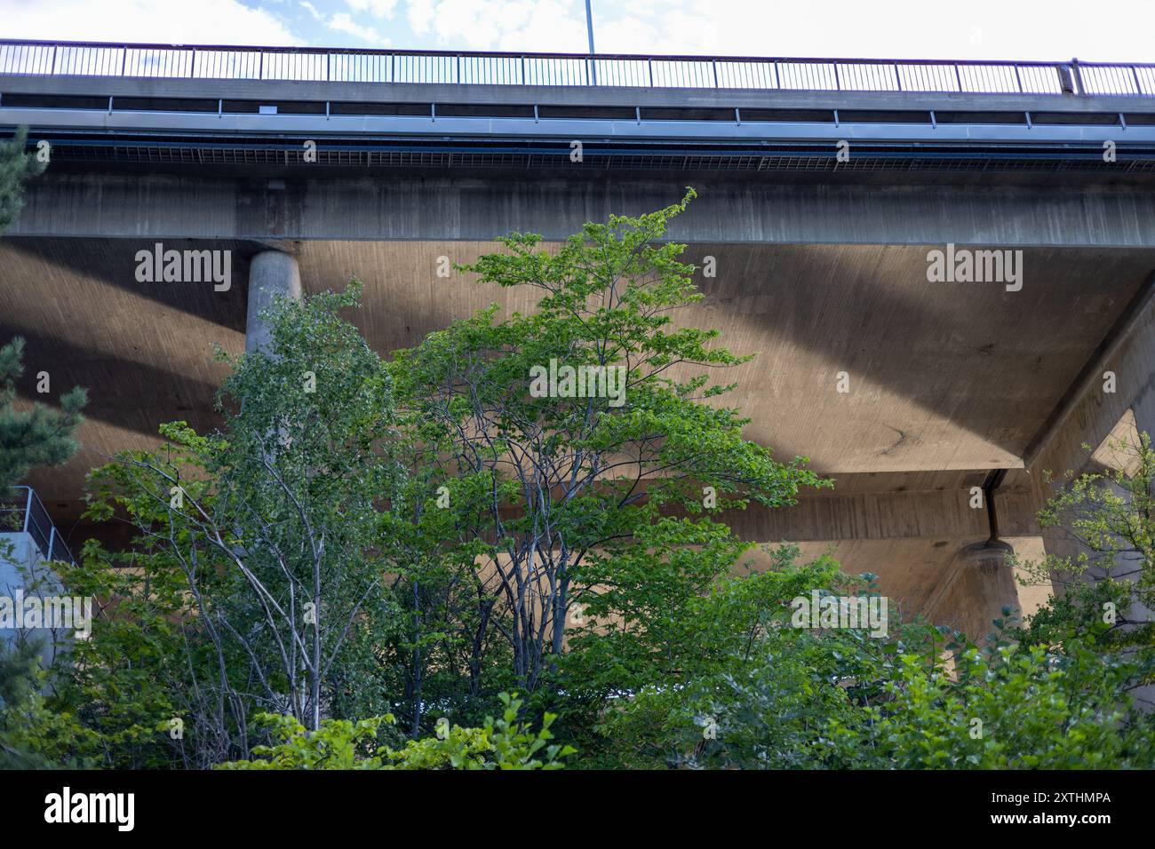 A view of a concrete bridge overpass with greenery underneath. Trees ...