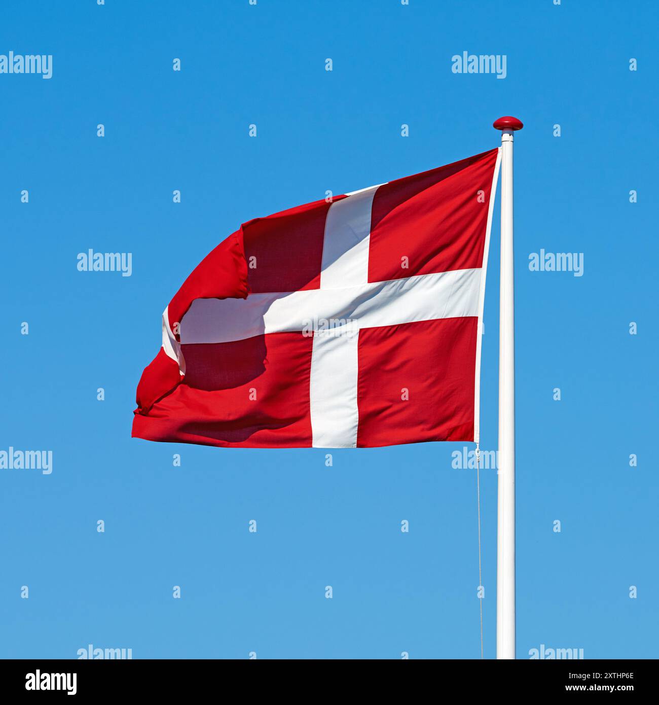Denmark, flag and wind on sky background with icon, pride and protocol ...
