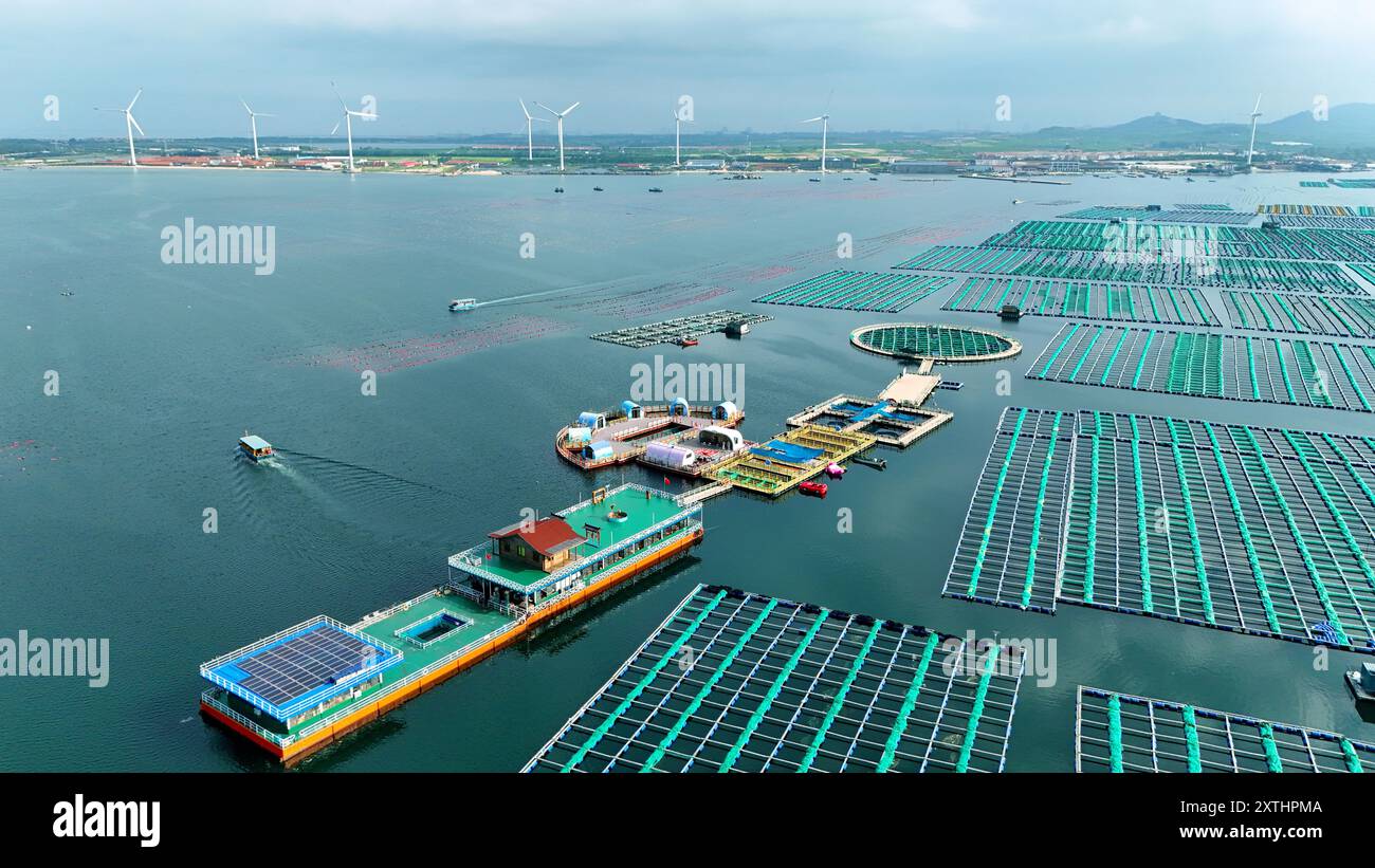 Aerial photo shows a marine ranch in Rongcheng City, east China's ...