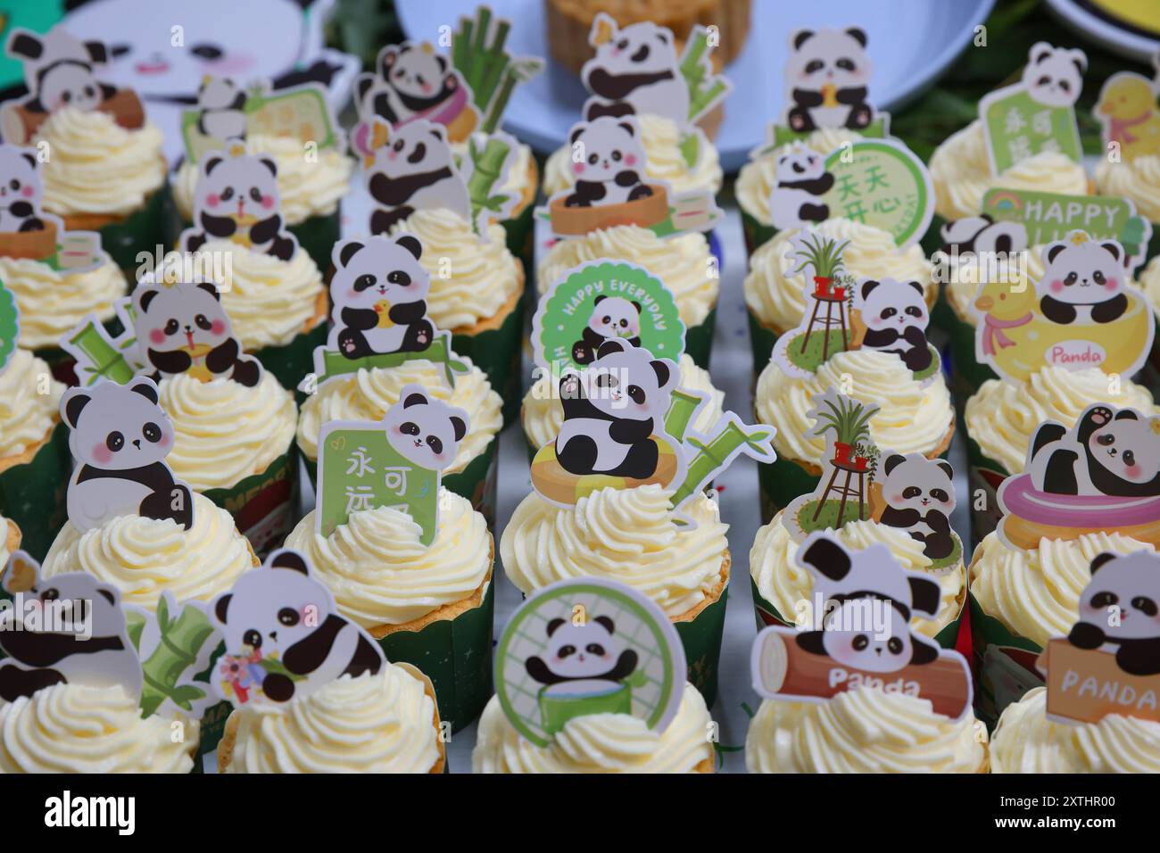 Giant panda twins Xing Hui and Xing Fan celebrate their 8th birthday in ...