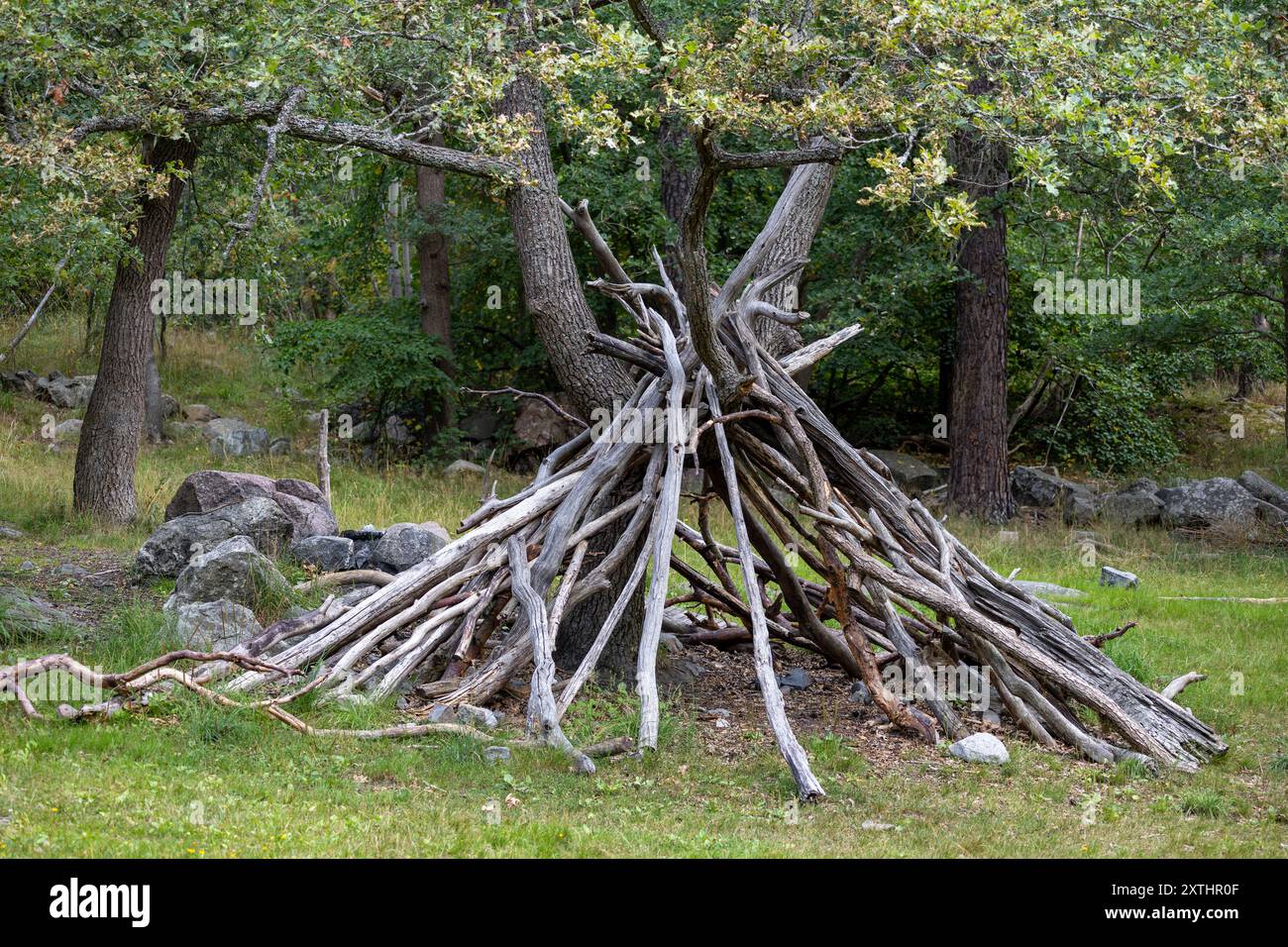 A natural structure made of sticks and branches leaning against a tree ...
