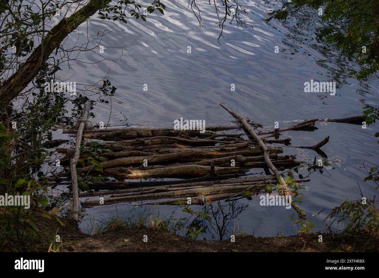 A rustic raft made of logs floating on calm water, surrounded by ...