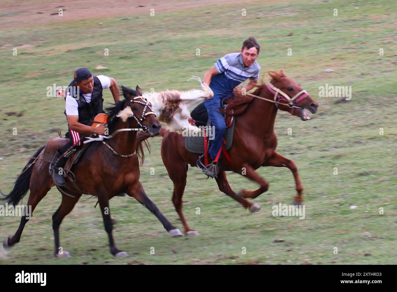 People ride horses to catch a goat in Altay City, northwest China's ...