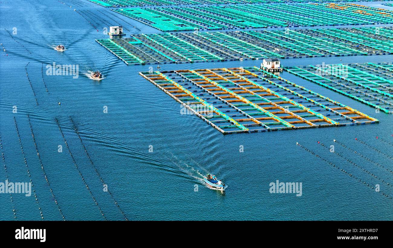 Aerial photo shows a marine ranch in Rongcheng City, east China's ...