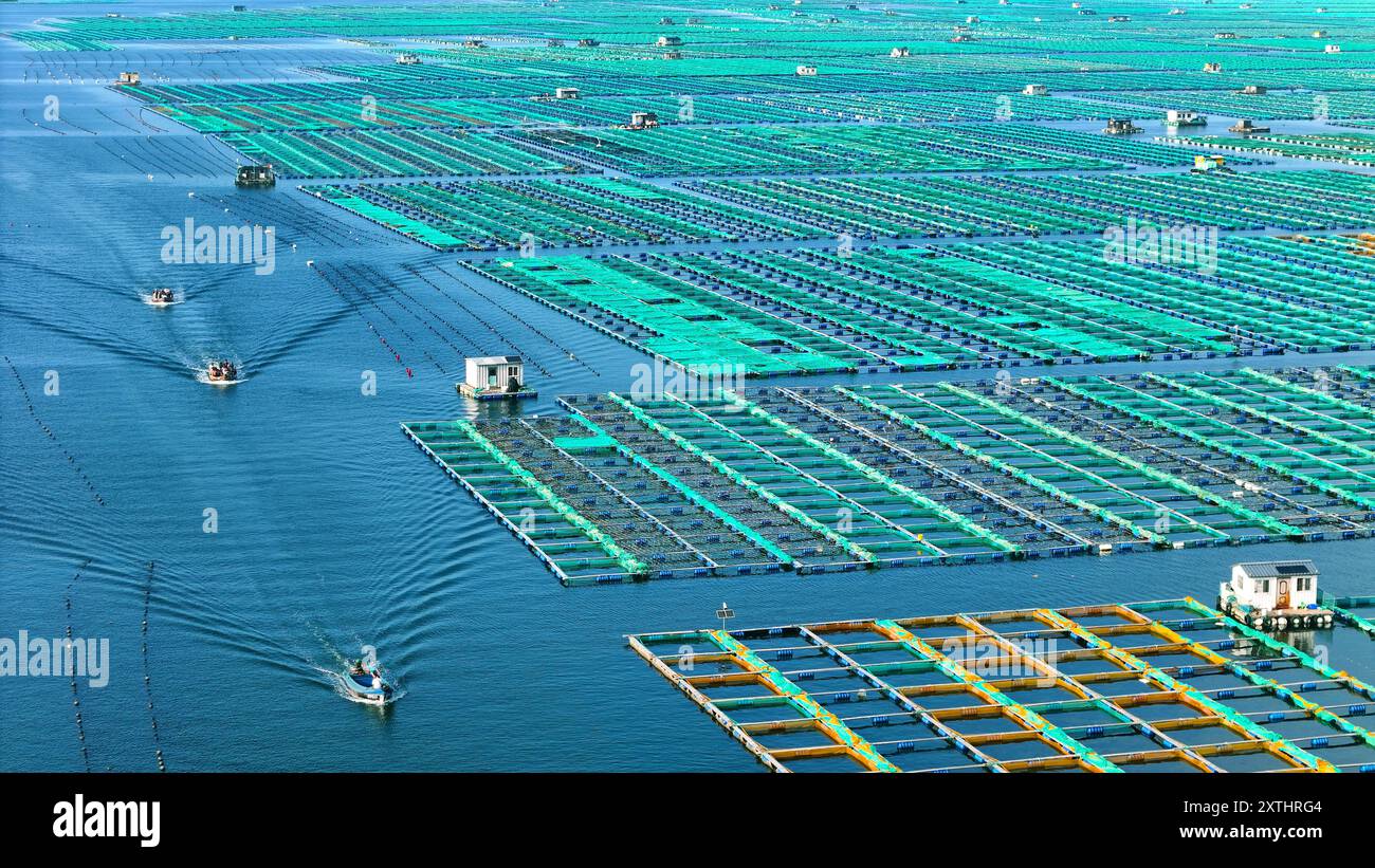 Aerial photo shows a marine ranch in Rongcheng City, east China's ...