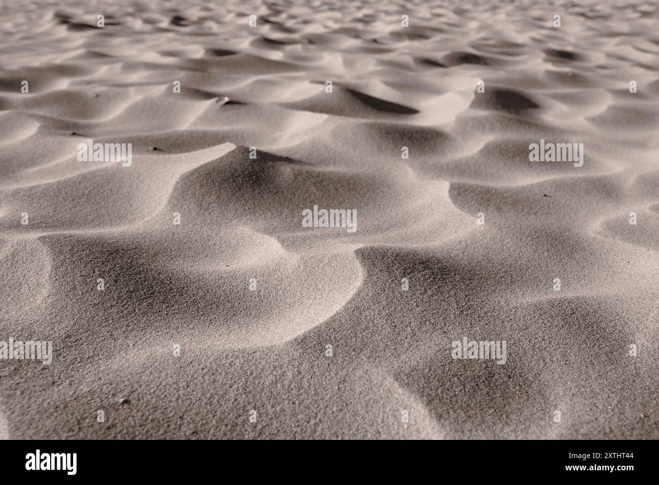 Dry, texture and monochrome of sand on beach, material and dimension ...