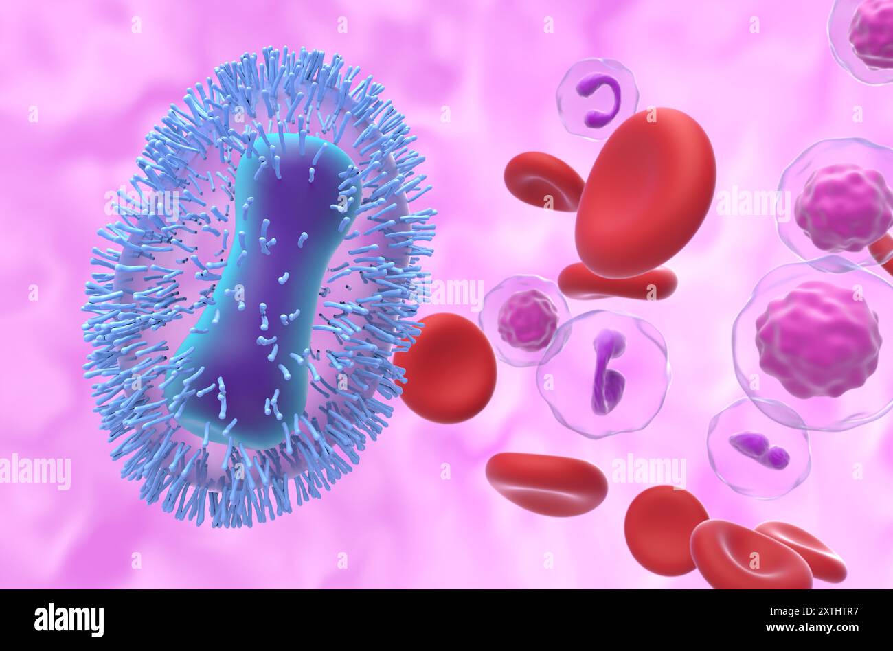 Mpox (monkeypox) - closeup view 3d illustration Stock Photo - Alamy