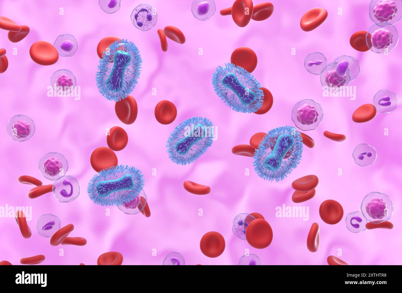 Mpox (monkeypox) - isometric view 3d illustration Stock Photo - Alamy