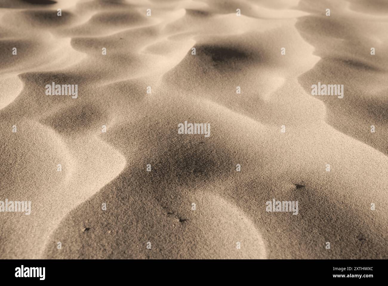 Sand, pattern and texture for wallpaper with grain, nature and ripple ...