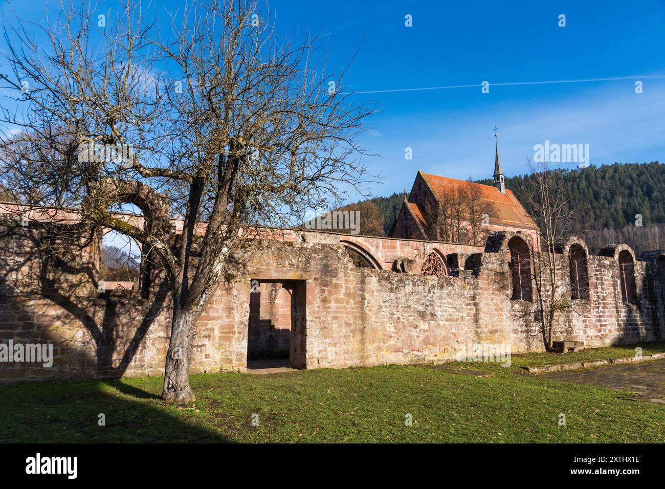 The Hirsau Abbey, formerly known as Hirschau Abbey in the Black Forest ...