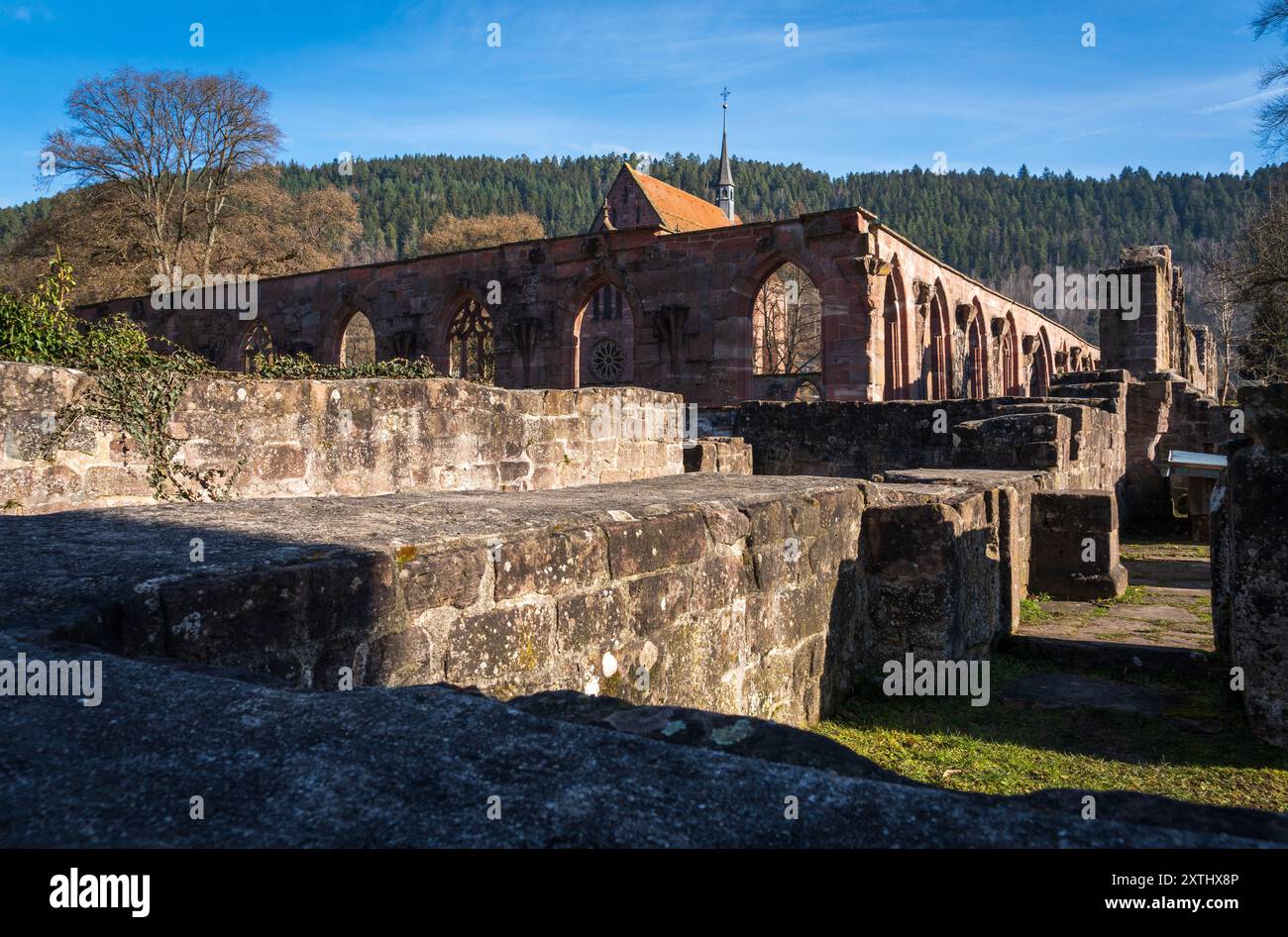 The Hirsau Abbey, formerly known as Hirschau Abbey in the Black Forest ...