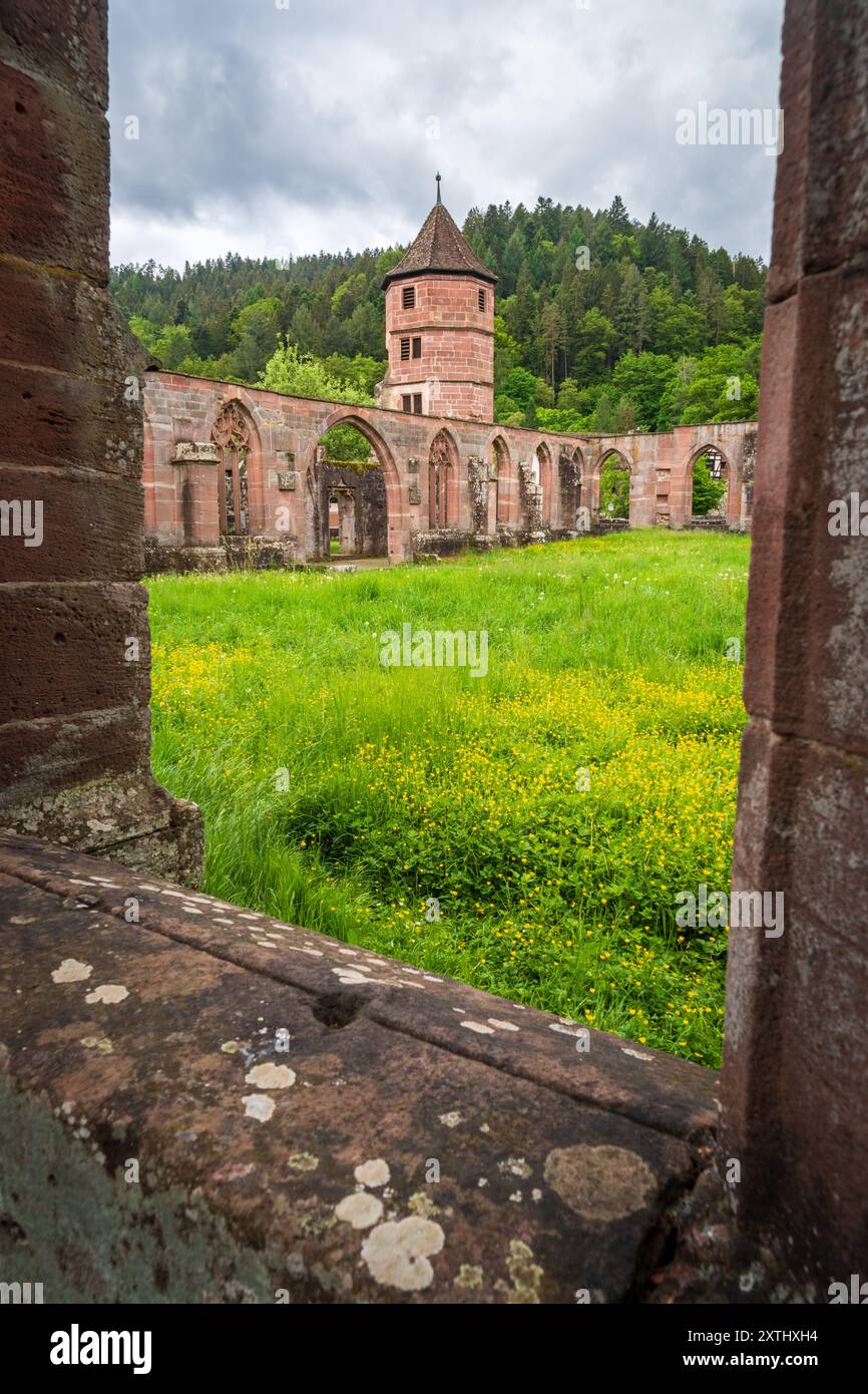 The Hirsau Abbey, formerly known as Hirschau Abbey in the Black Forest ...