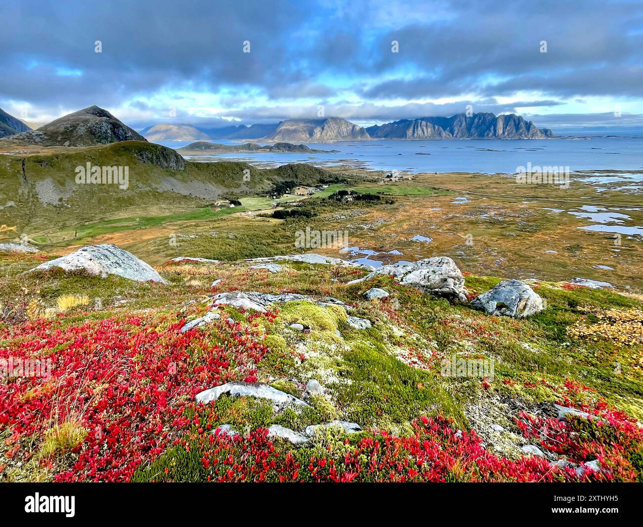 scenic view on autumnal landscape in norway with bright red foliage and ...