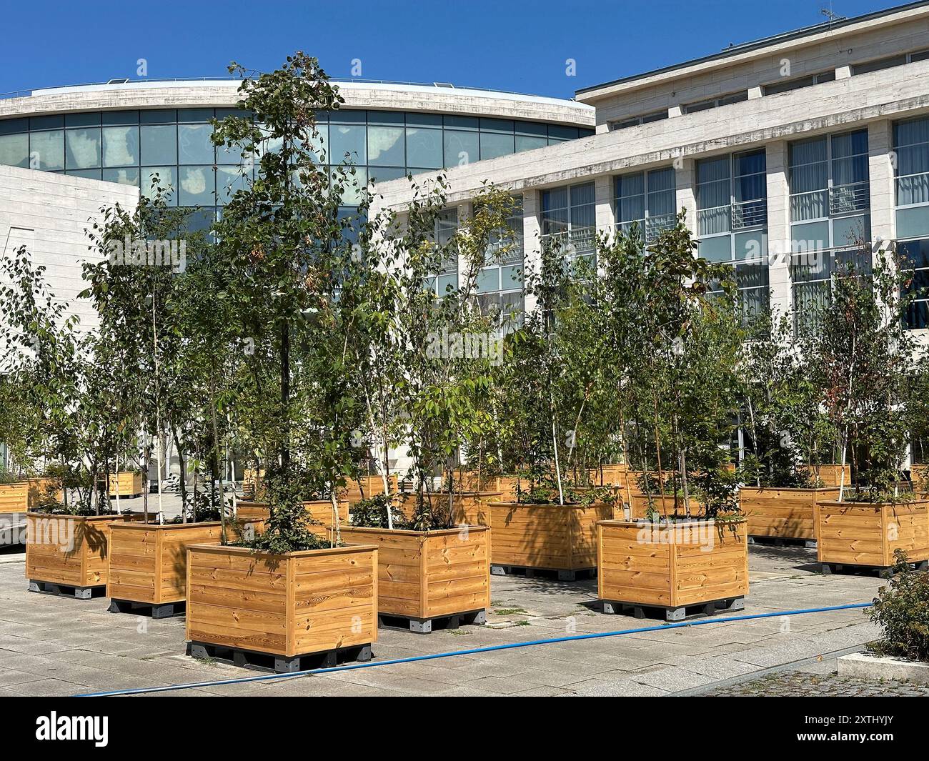 Building wooden boxes hi-res stock photography and images - Alamy