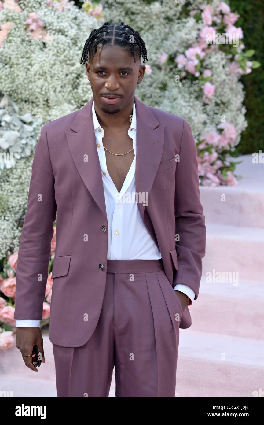 LOS ANGELES, USA. August 14, 2024: Samuel Arnold at the premiere for ...
