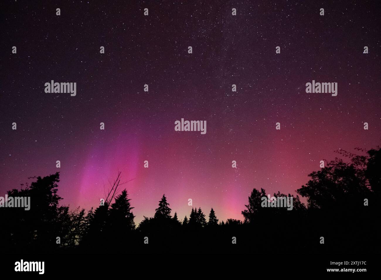 The Aurora borealis lights up the night sky with shades of pink. The ...