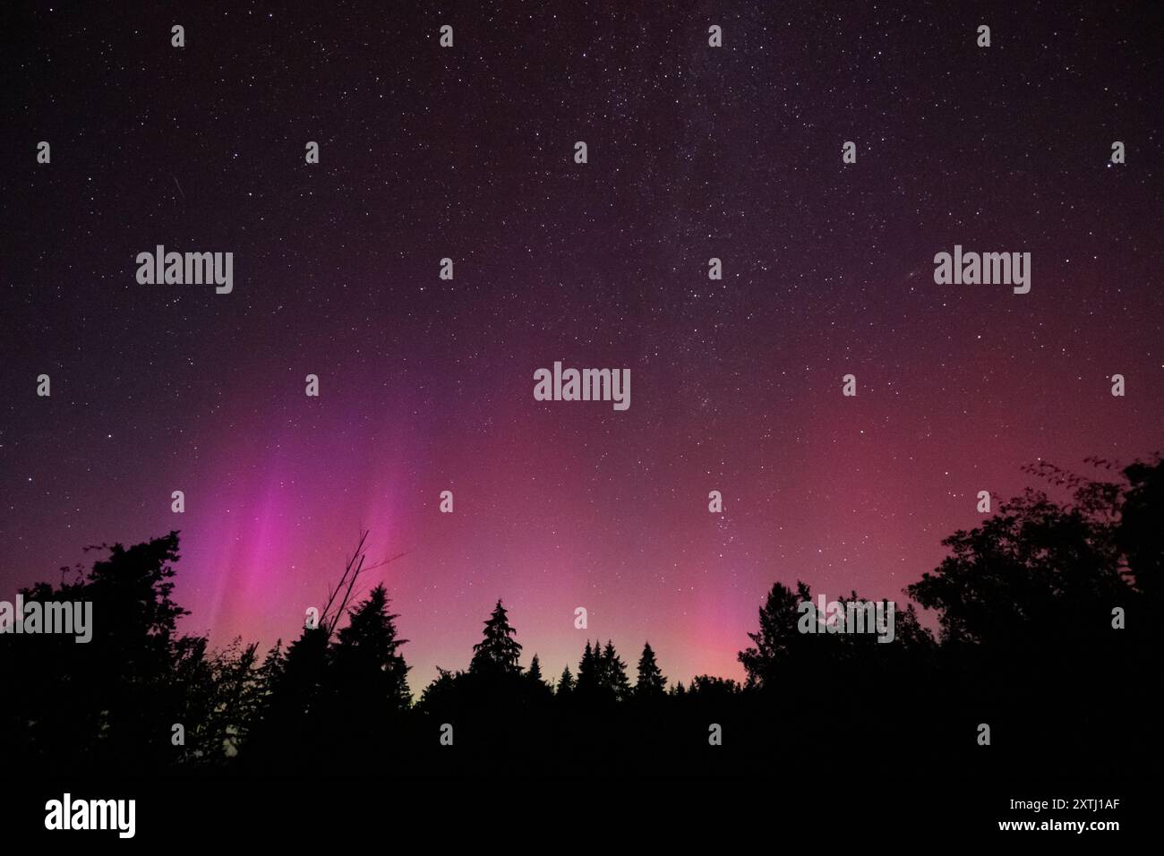 The Aurora borealis lights up the night sky with shades of pink. The ...