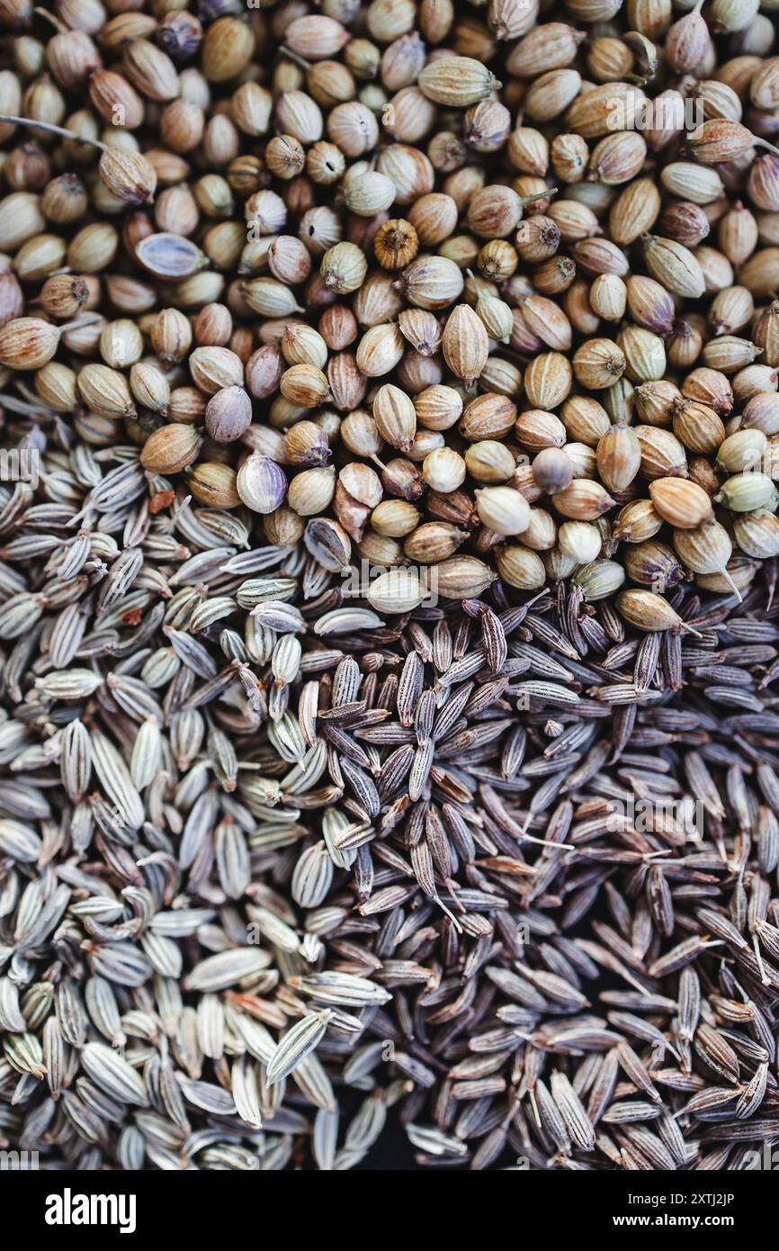cumin coriander and fennel seeds close-up, traditional ayurvedic blend ...