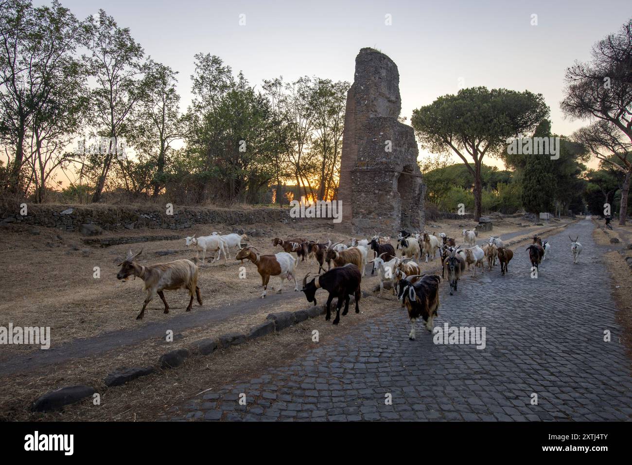 A Roman-era highway. The Via Appia Antica, the earliest road built by ...