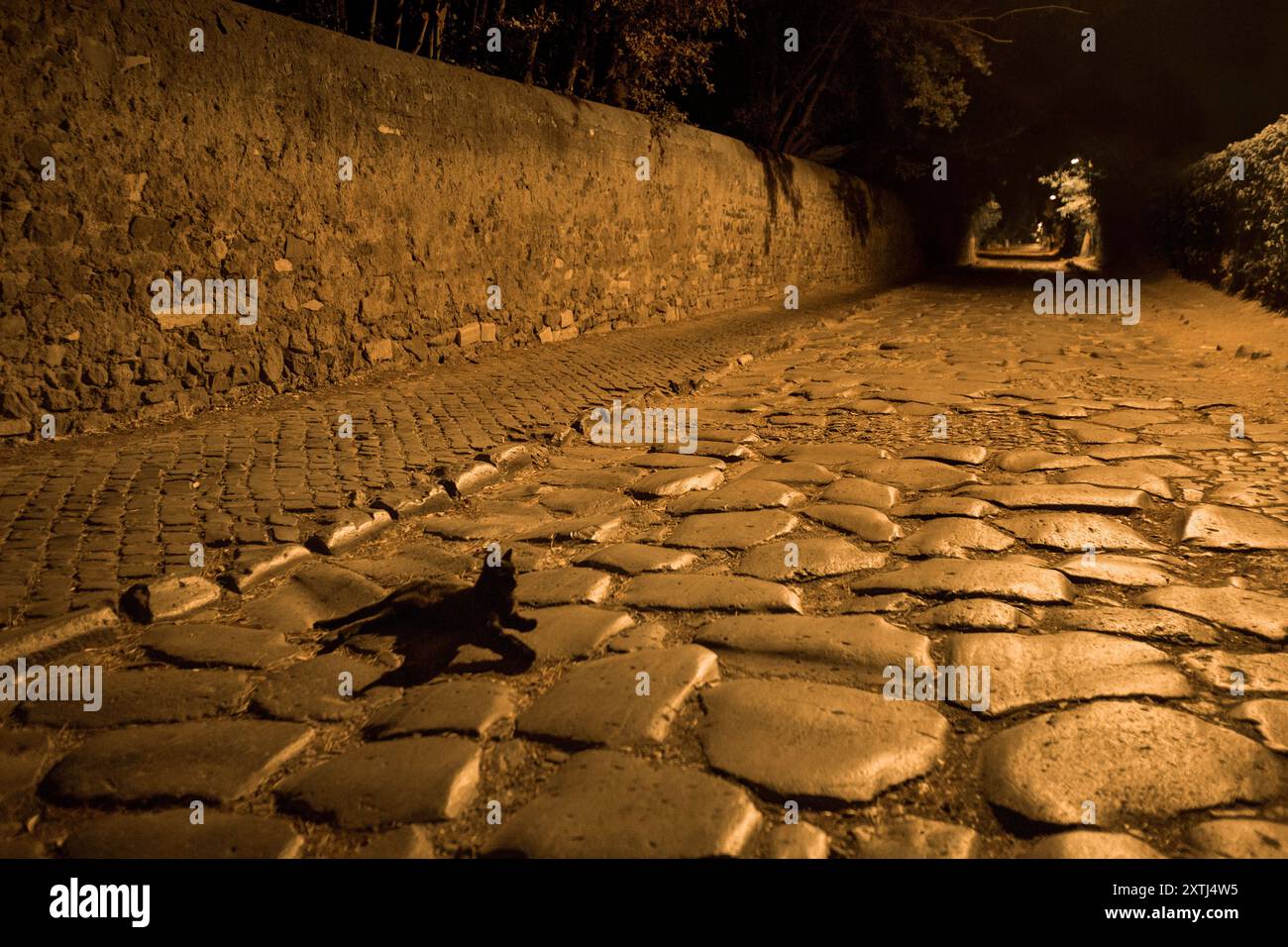 A Roman-era highway. The Via Appia Antica, the earliest road built by ...