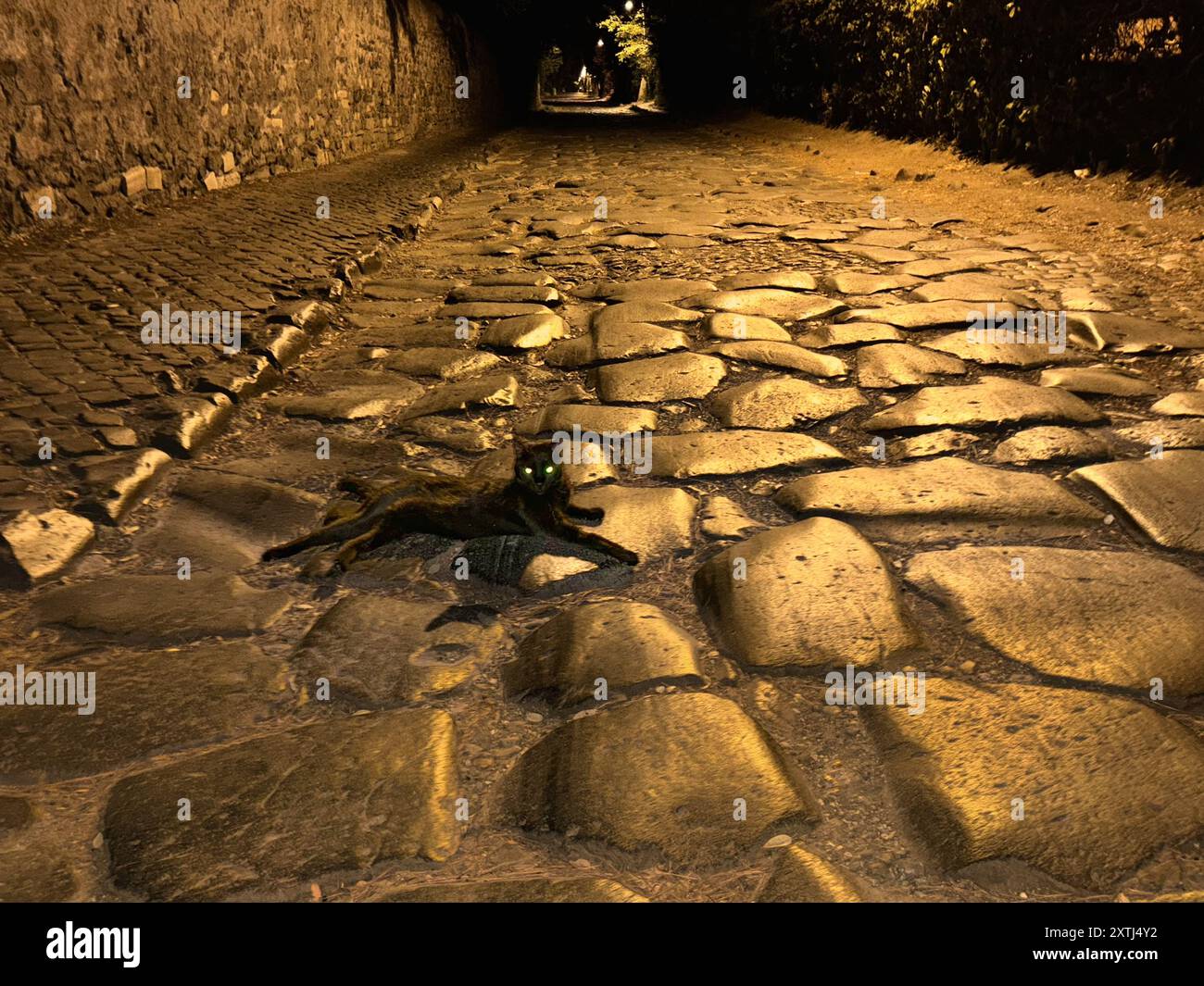 A Roman-era highway. The Via Appia Antica, the earliest road built by ...