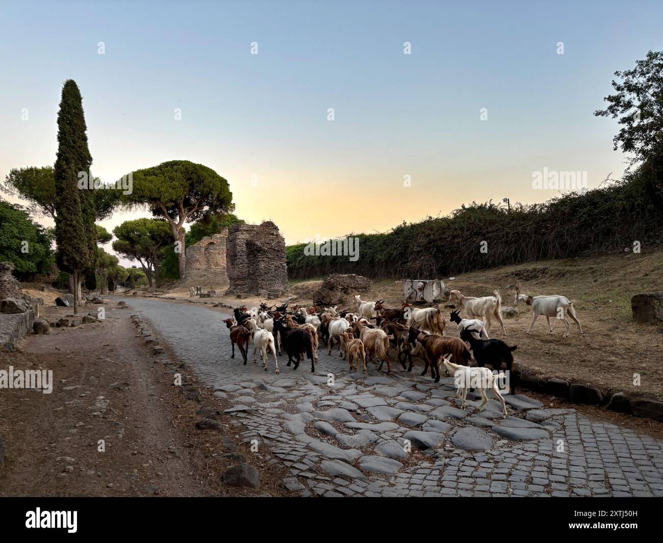 A Roman-era highway. The Via Appia Antica, the earliest road built by the ancient Romans, has ...