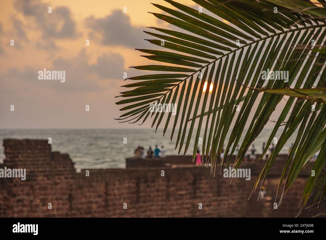 Palm trees and amazing cloudy sky on sunset at tropical island in Goa ...