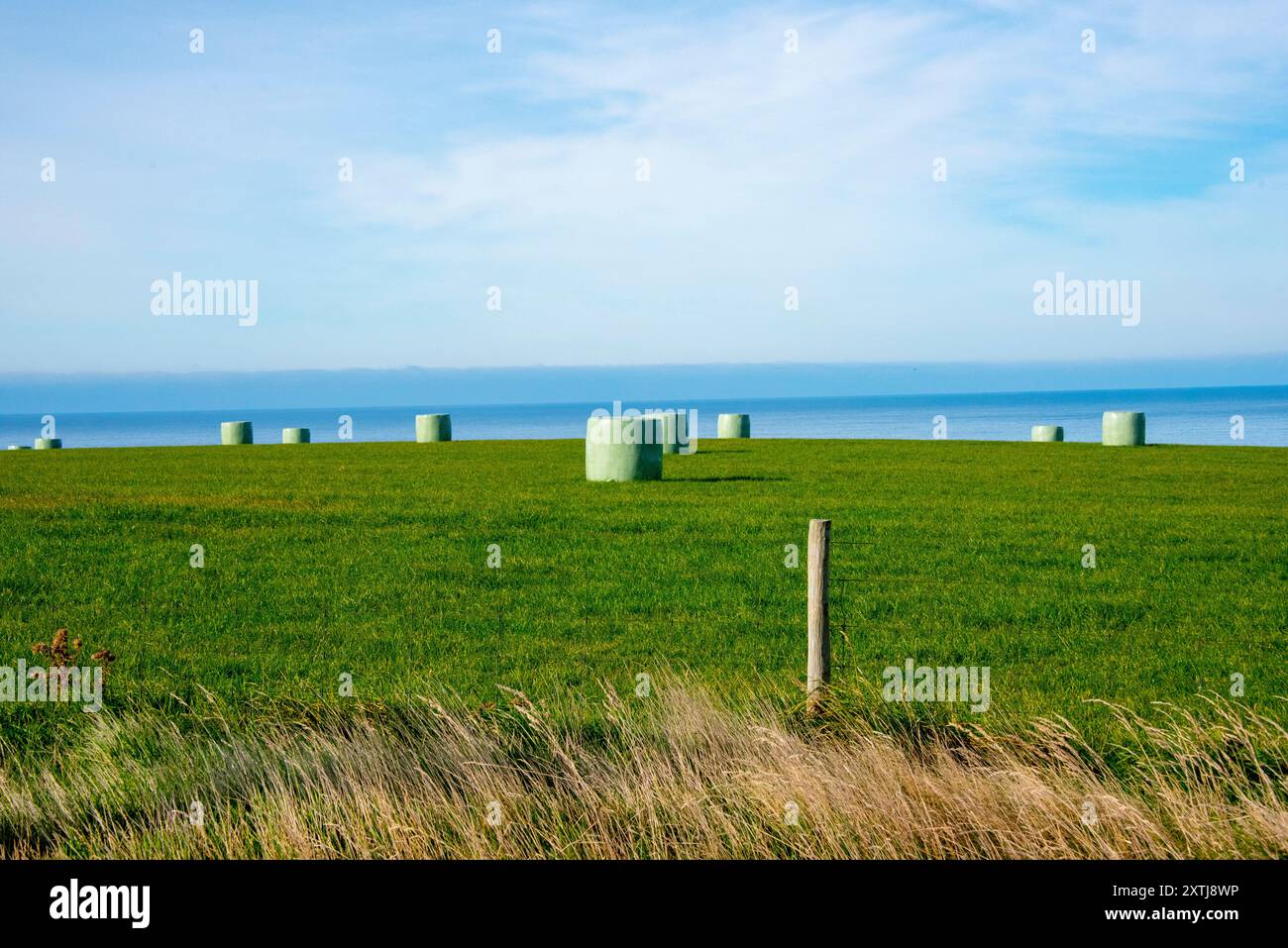 Southland new zealand crop hi-res stock photography and images - Alamy