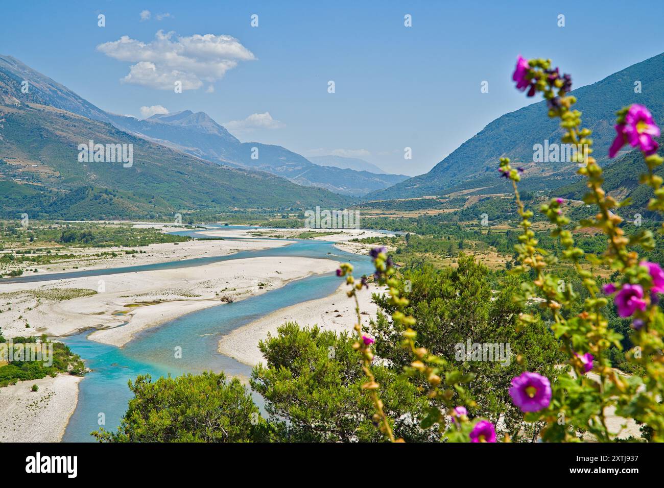 Tepelene tepelena hi-res stock photography and images - Alamy