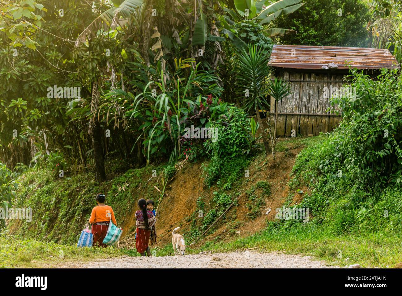 Quiche guatemala wood hi-res stock photography and images - Alamy