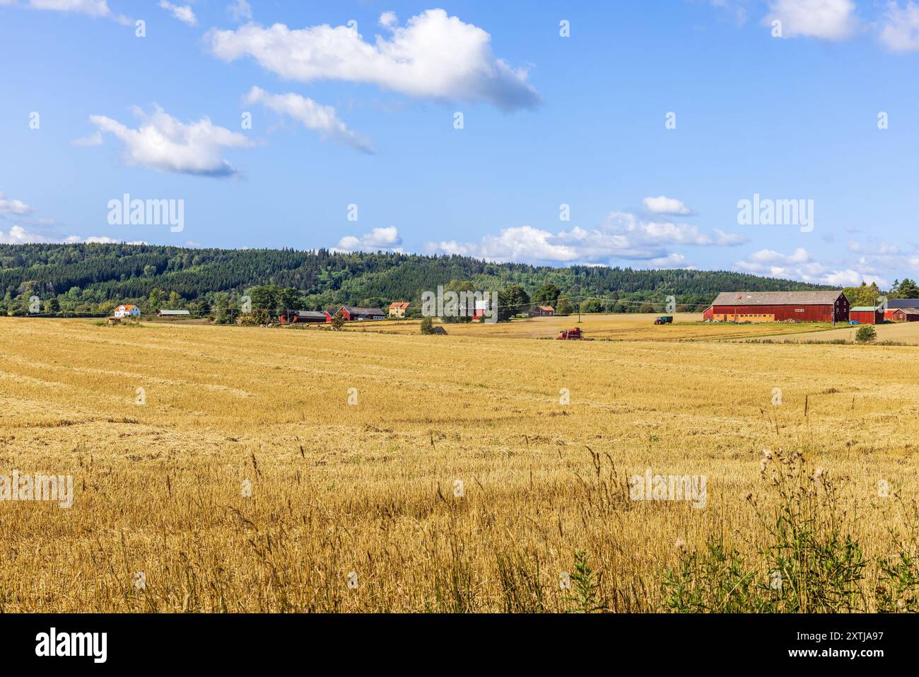 Rural landscape view with fields and farms Stock Photo - Alamy