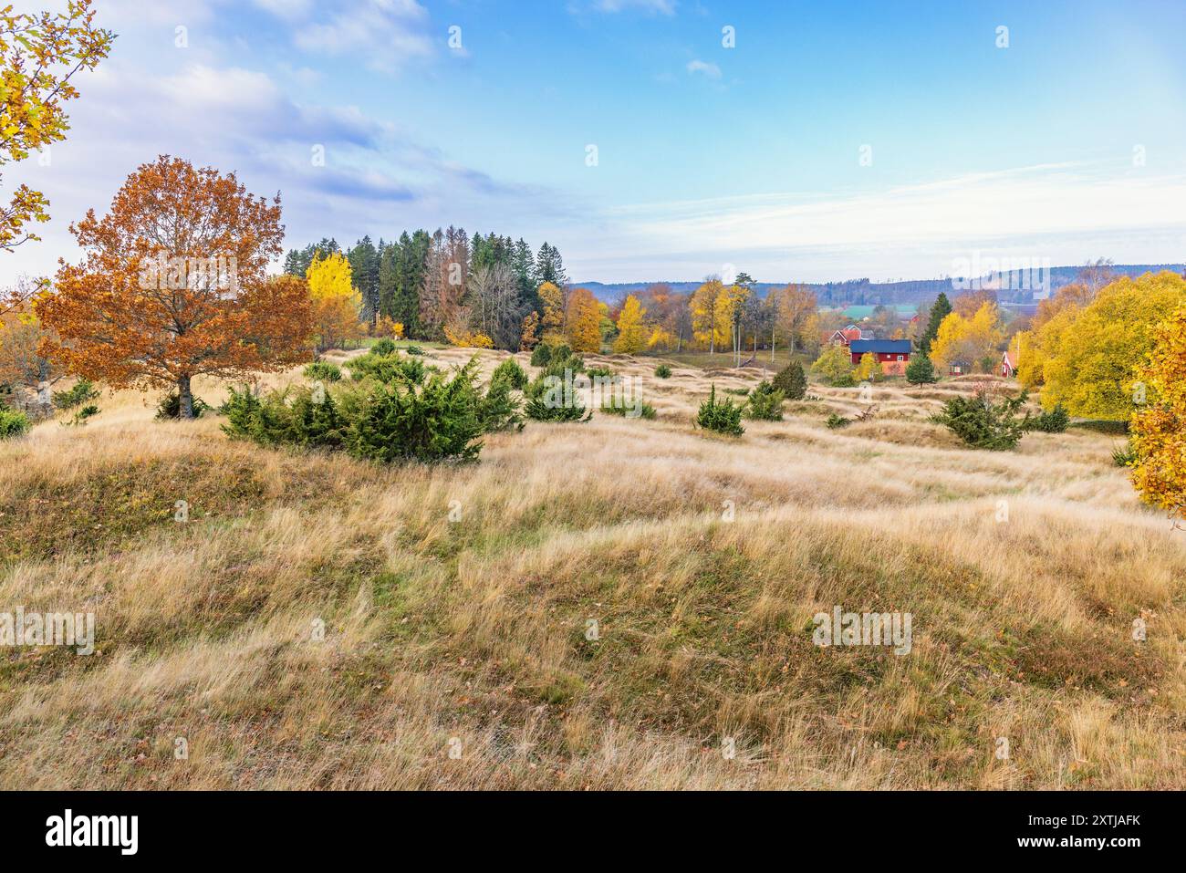 Grave field from the iron age hi-res stock photography and images - Alamy