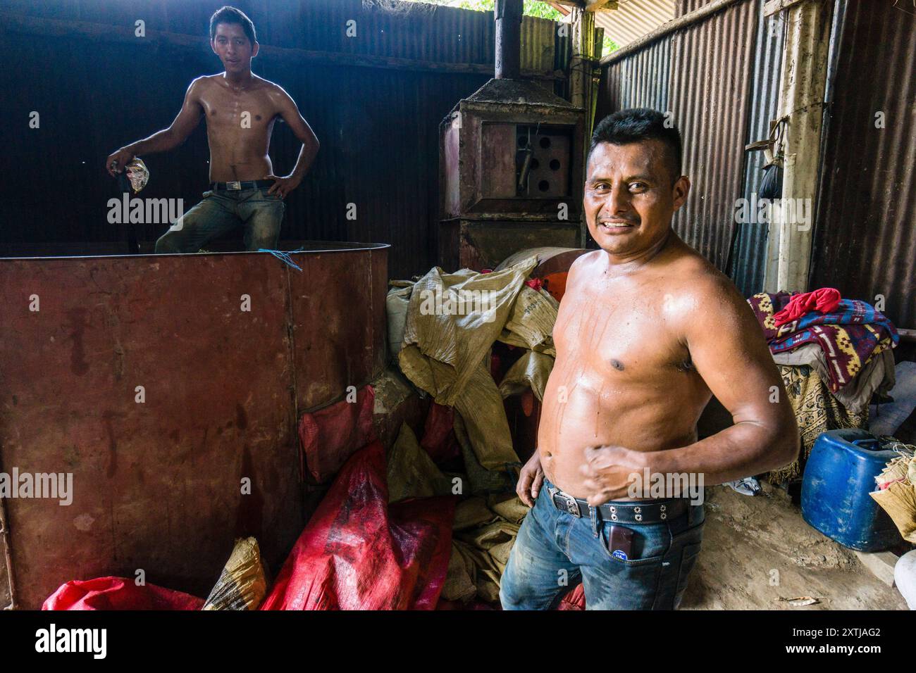 Cardamom drying plant, La Taña, Reyna area, Uspantan department ...