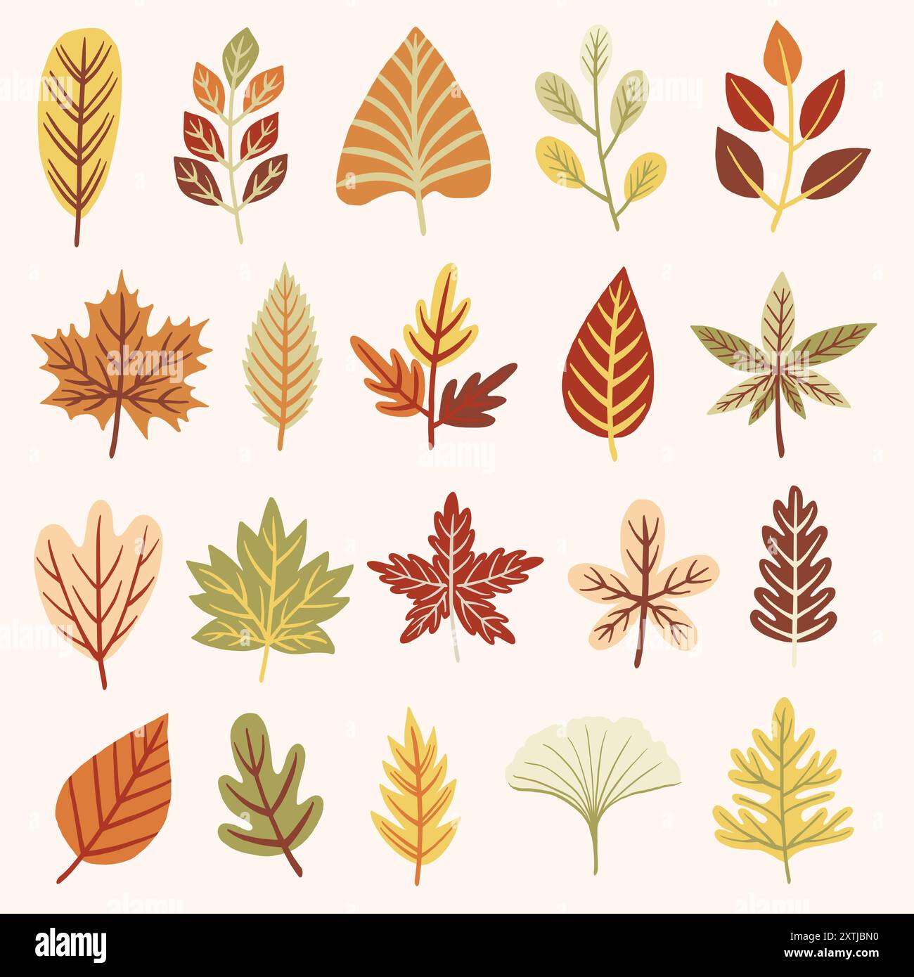Autumn leaves and fall foliage illustration set. Hand drawn vector ...