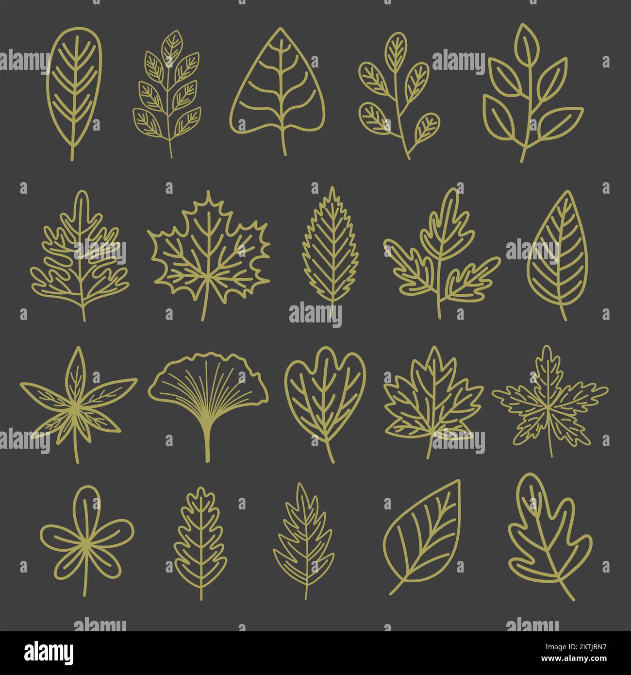 Autumn leaves and fall foliage line art set. Hand drawn vector illustrations Stock Vector Image ...